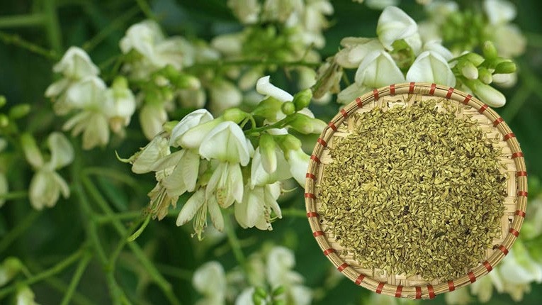 Hoa hòe - Vị thuốc dân gian với nhiều công dụng